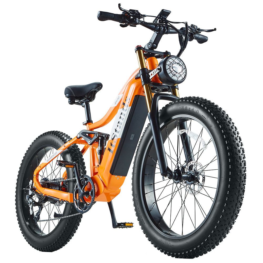 Burchda RX30 Long Range Mountain eBike | 1000W 48V 30Ah | High ...