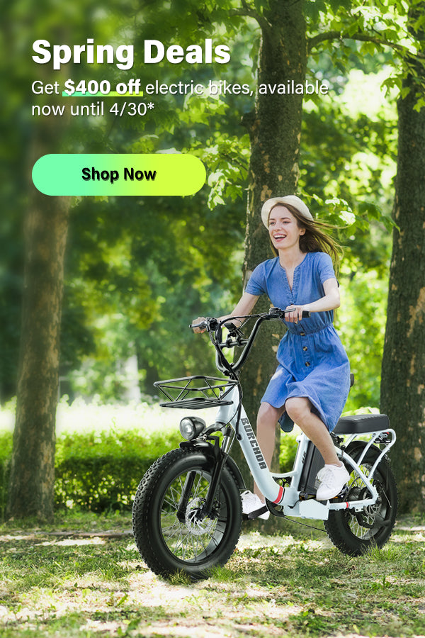 Burchda Bikes | Official Online Store - Electric Bikes for Adults