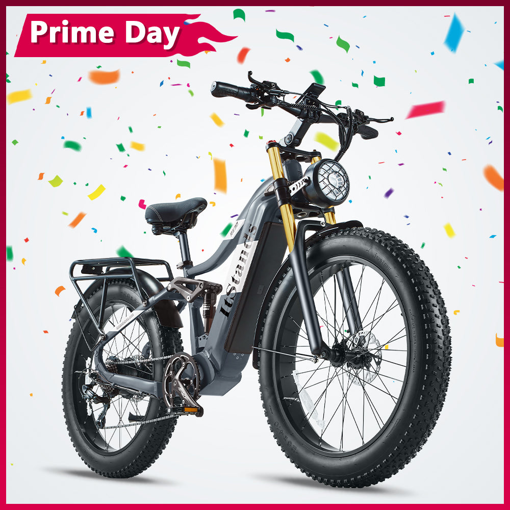 Burchda RX30 Long Range Mountain eBike | 1000W 48V 30Ah | High ...